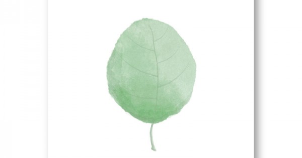 Single Leaf Wall Art Print