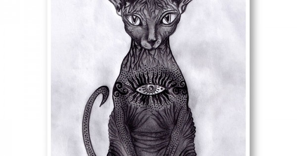 Eye of Insight Art Print