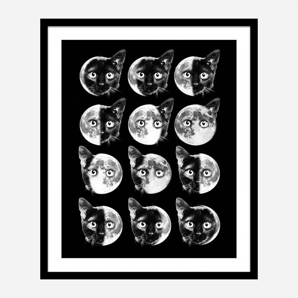 Cat Moon Phases Art Print