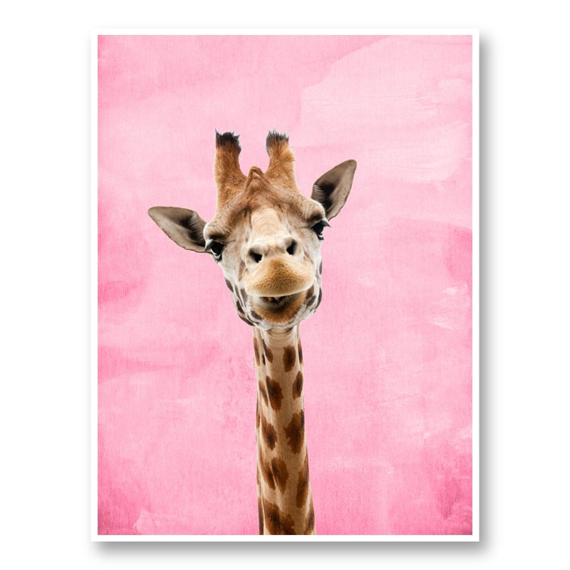 Pink Giraffe Wallpaper